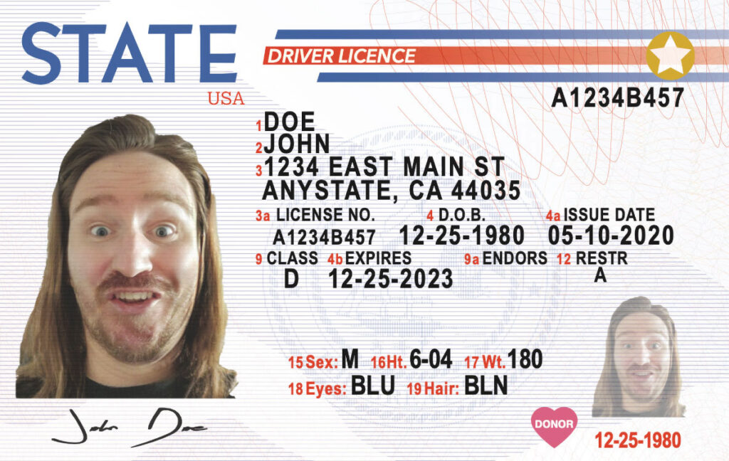 Driver Licenses - Hand Prop Room